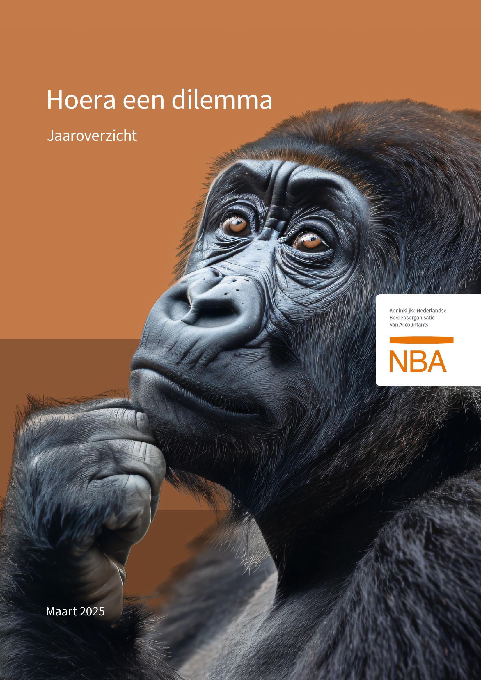 NBA - Koninklijke Nederlandse Beroepsorganisatie van Accountants